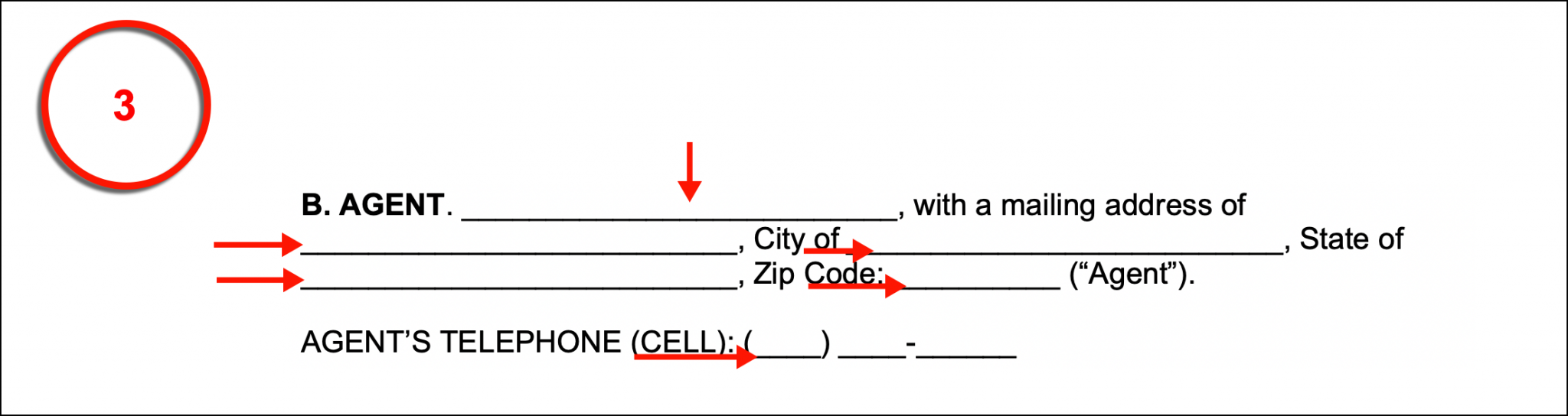 Free Advance Directive Forms (50-States) | PDF | WORD