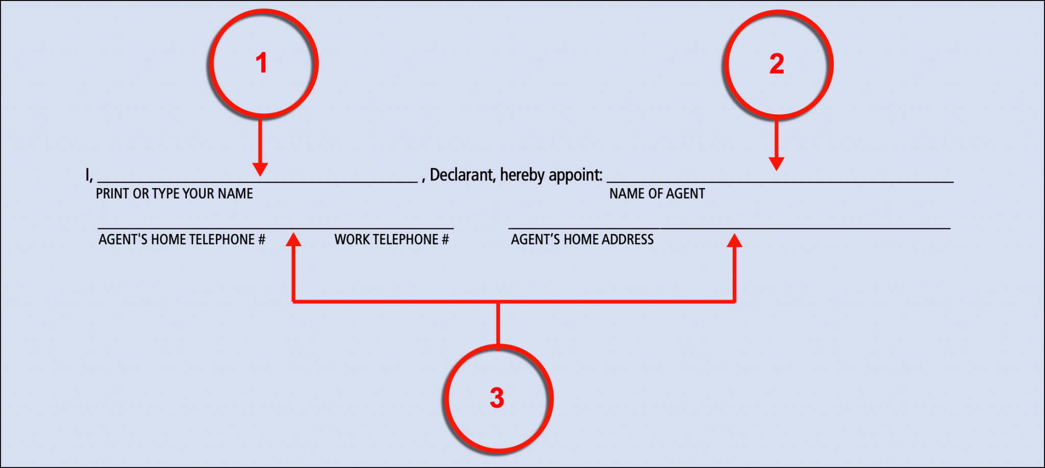Free Colorado Advance Directive Form (Medical POA + Living Will) | PDF