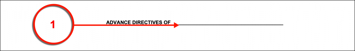 Free Connecticut Advance Directive Form (Medical POA + Living Will) | PDF