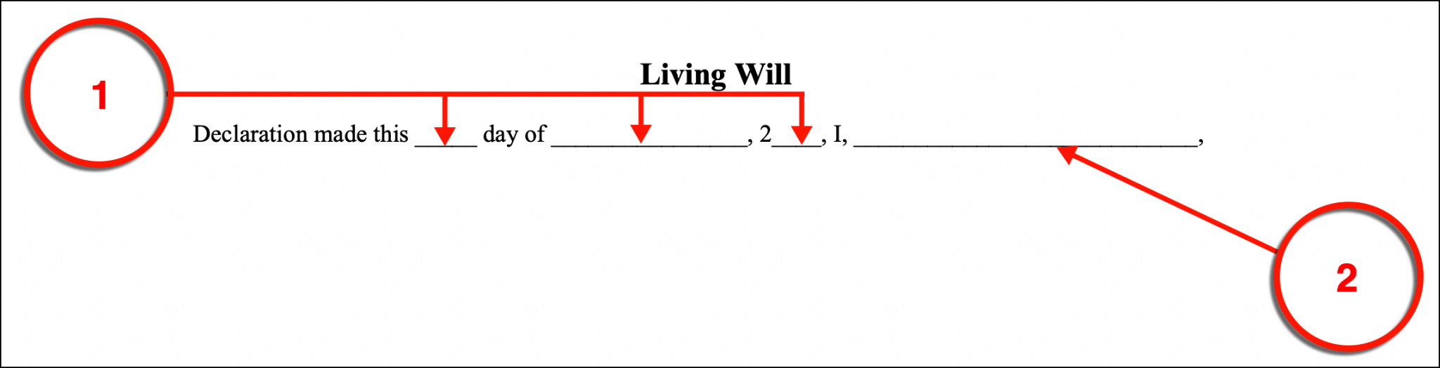 Free Florida Advance Directive Form (Medical POA + Living Will) | PDF