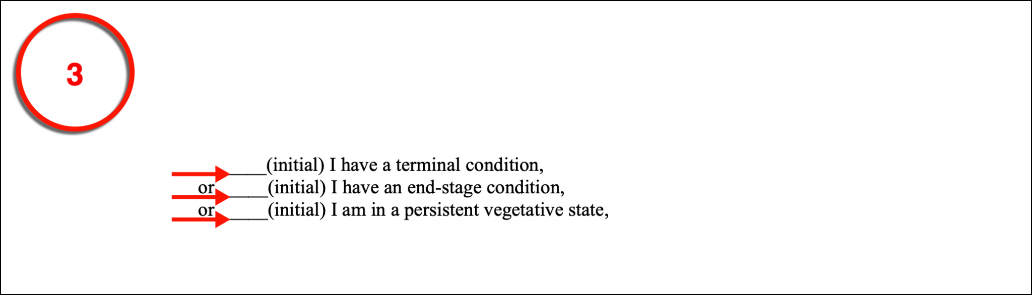 Free Florida Advance Directive Form (Medical POA + Living Will) | PDF